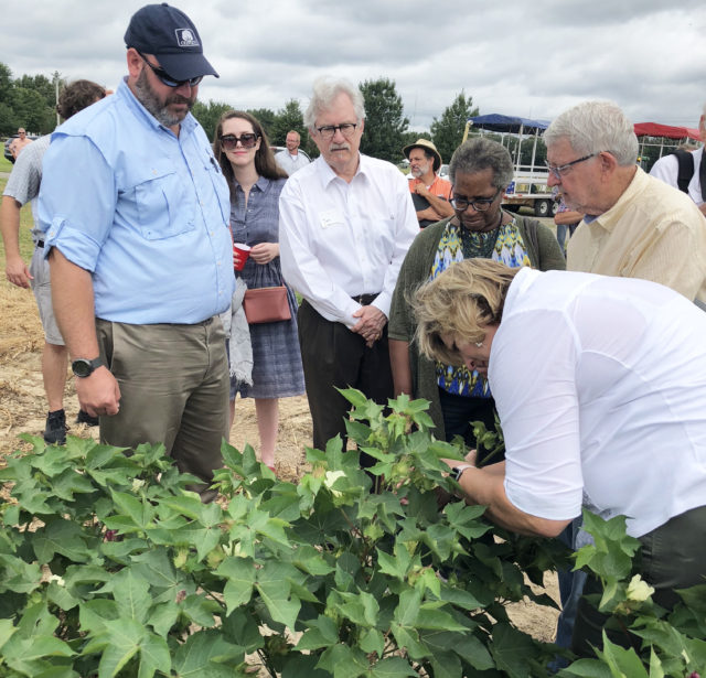 Startup Accelerator Spotlight: AgLaunch - Launchopedia